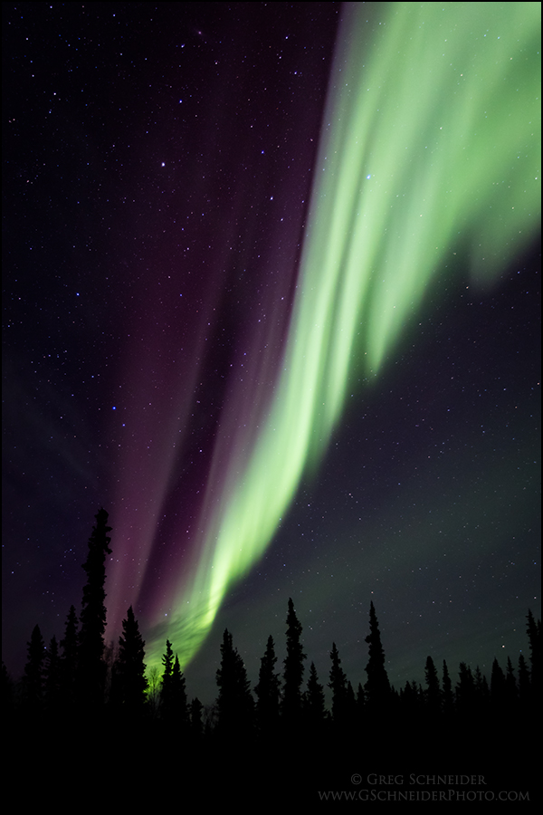 Balto Aurora Borealis